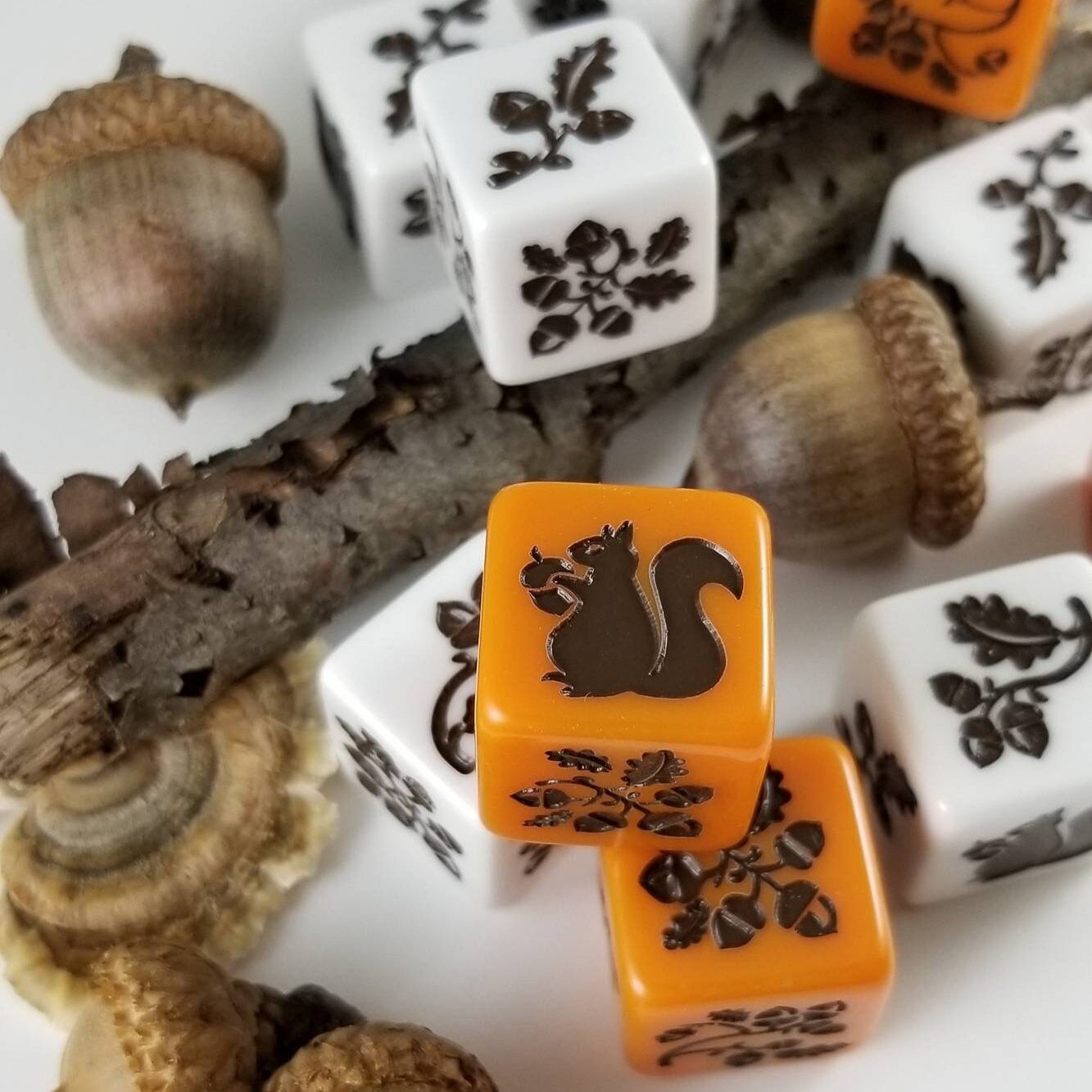 Squirrel / Acorn Dice, Set of 2 - DiceMakers.com